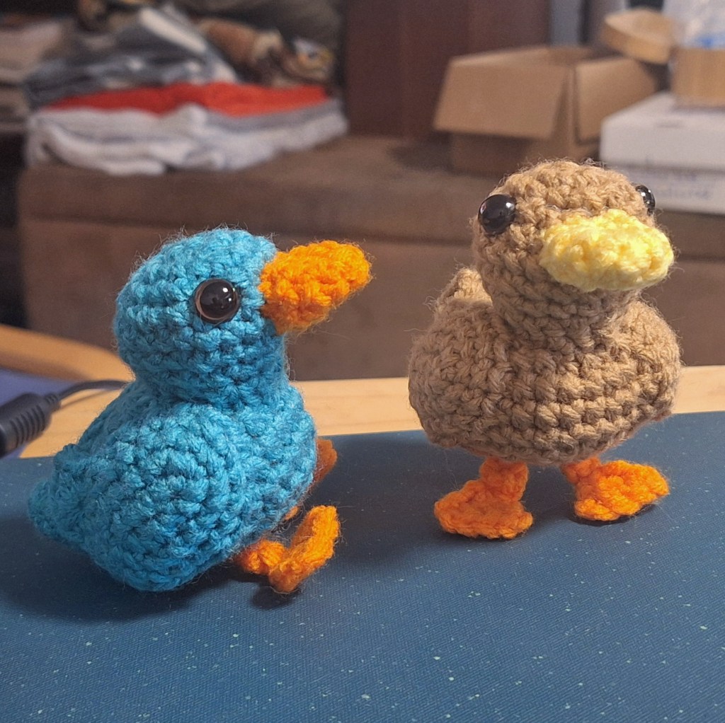 Sitting Ducks – Yarn Wolf Creations